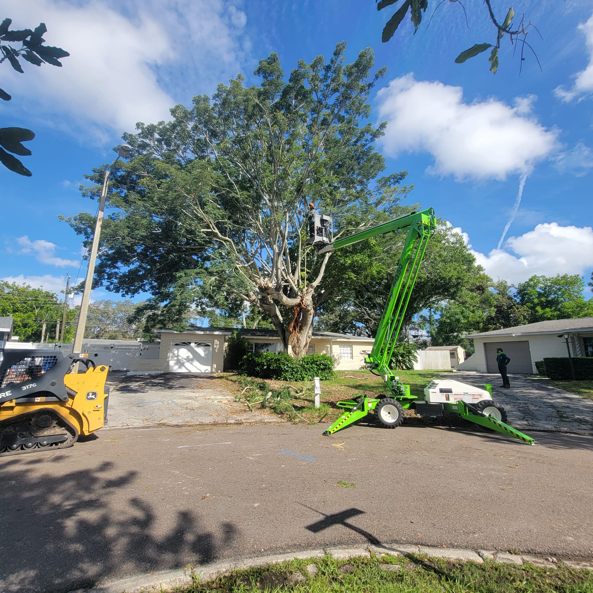 George’s Tree Service - George's Tree Service